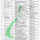Infrastructure Development Authority Punjab Jobs 2019 Application Form ...