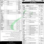 PIMS Jobs 2018 Application Form Download | Pakistan Institute of ...