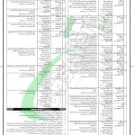 FIA Jobs 2019 Pakistan Federal Investigation Agency Application Form ...