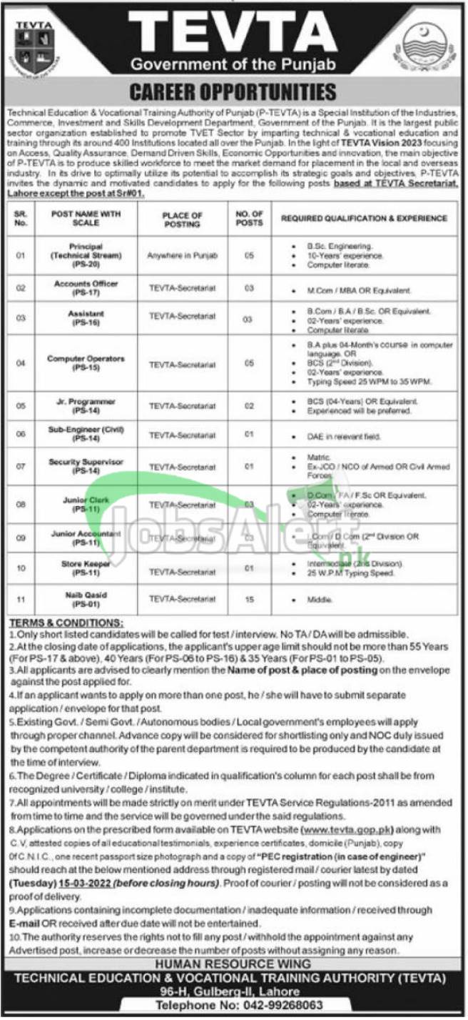 TEVTA Jobs Application Form 2022 Technical Education & Vocational ...