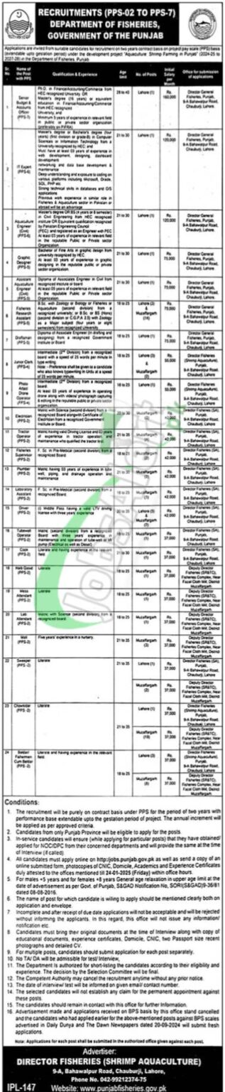 Punjab Job Portal | www.jobs.punjab.gov.pk Online Apply 2024