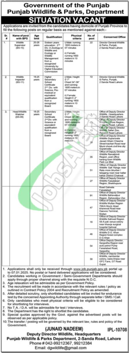 Punjab Job Portal | www.jobs.punjab.gov.pk Online Apply 2024